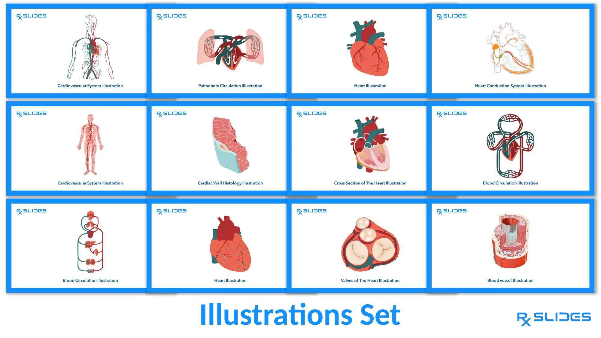 Cardiovascular system anatomy and physiology PowerPoint Template - RxSlides - The largest online ...